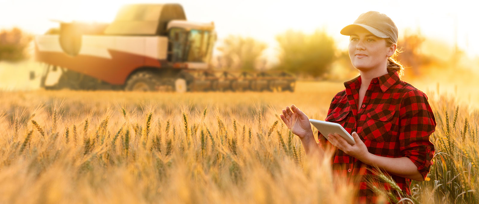 Optical Fiber Cabling for Rural Broadband | Prysmian